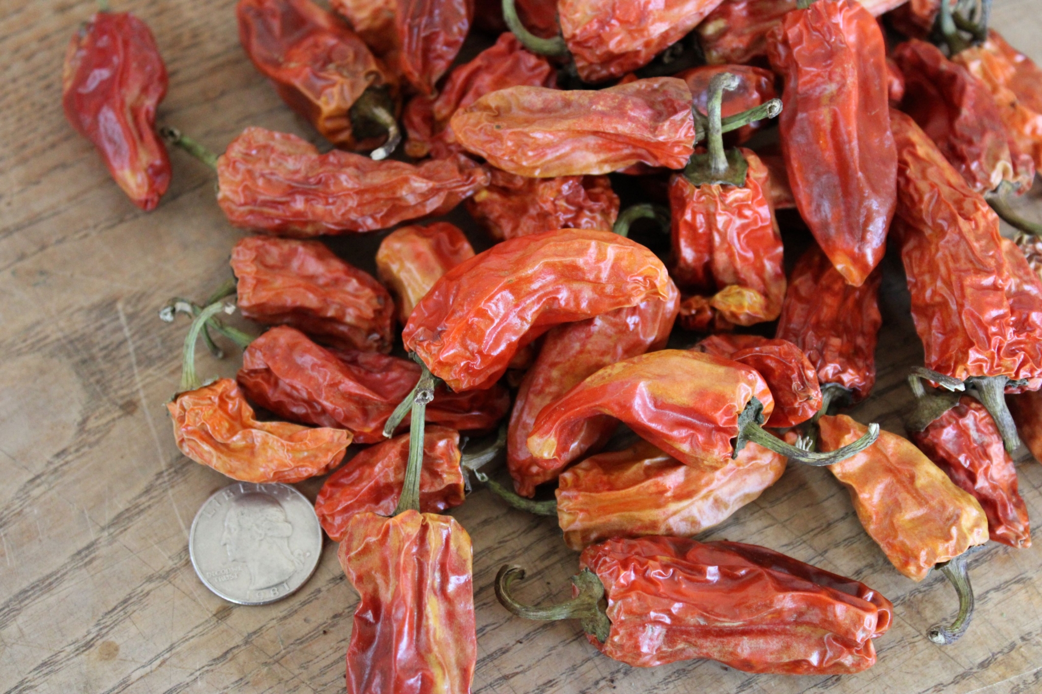 Dried sweet peppers - Green Meadow Farm of Gap